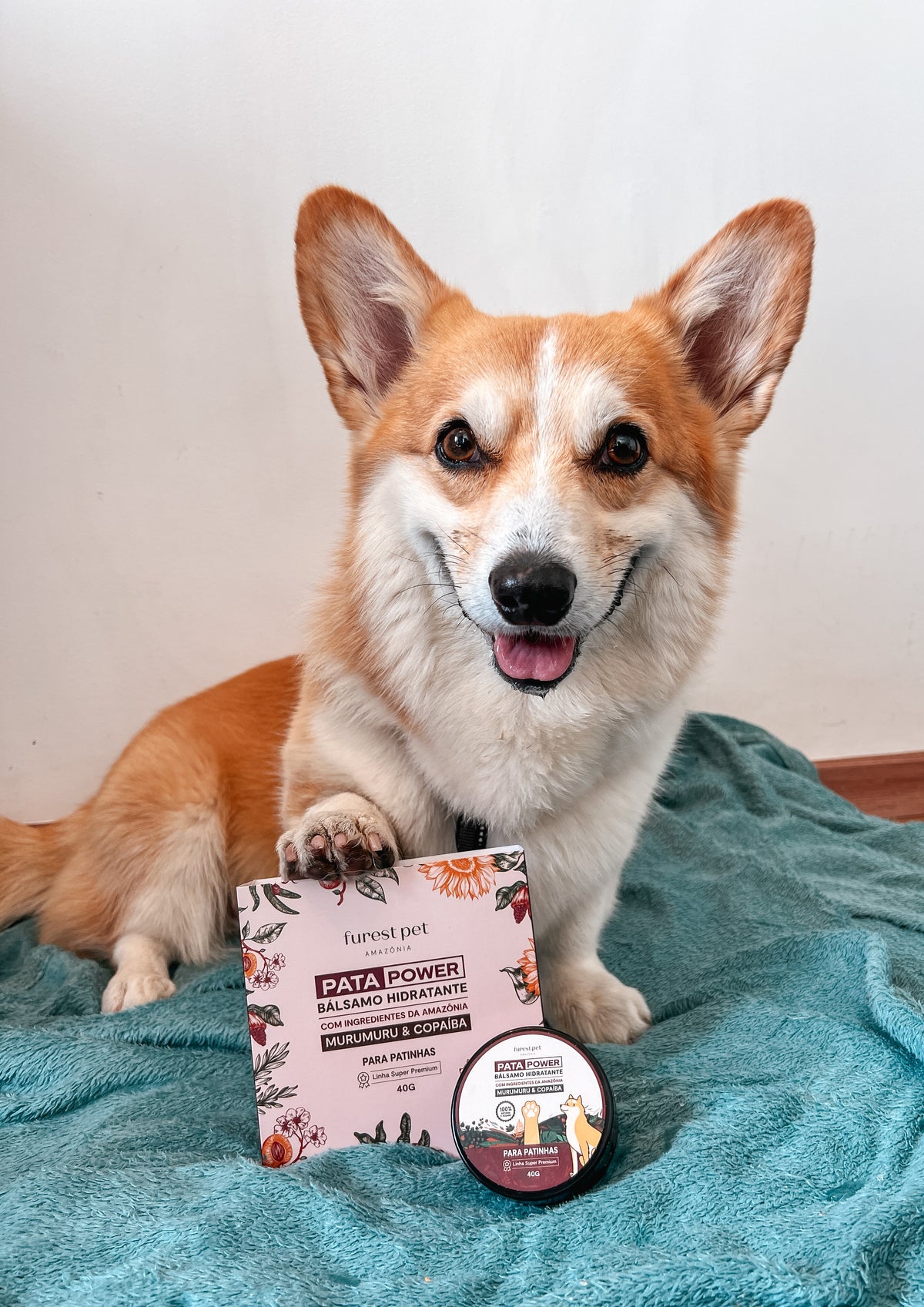 Pata Power - Balm Hidratante – Furest Pet Brasil