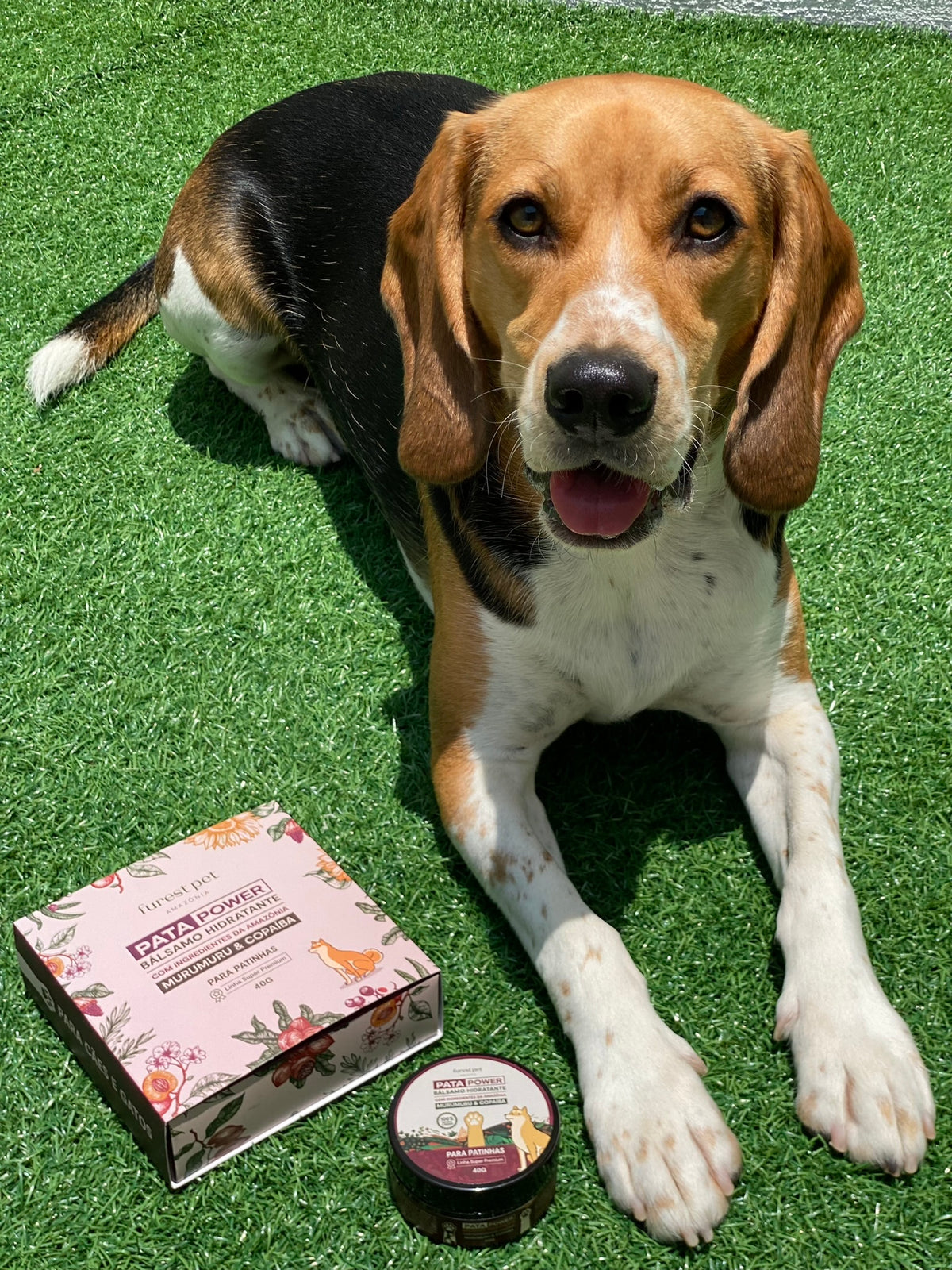 Pata Power - Balm Hidratante – Furest Pet Brasil